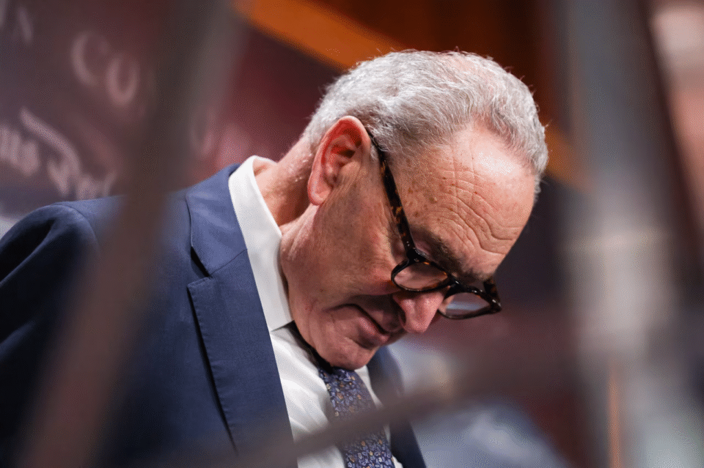 Chuck Schumer Vows to Stand Up to Republicans Until It Time to Take Nap ...
